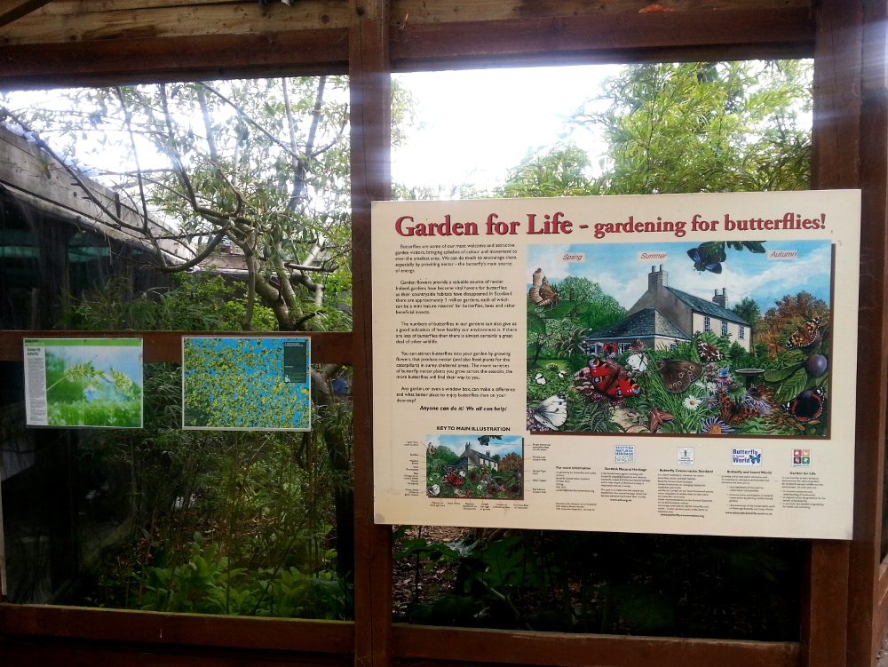 愛丁堡之旅 (2) – Edinburgh Butterfly & Insect World | Secret Stone Garden 愛・美麗